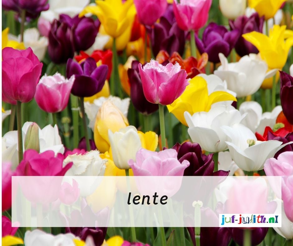 Lente - Juf-Judith.nl